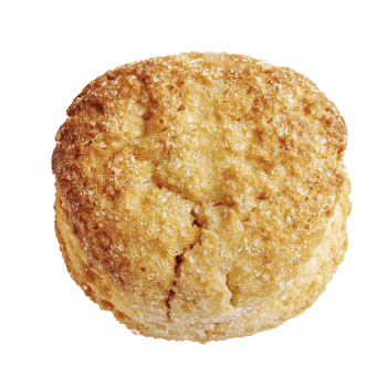 Biscotti Gentilini | Since 1890 | Gentilini shop