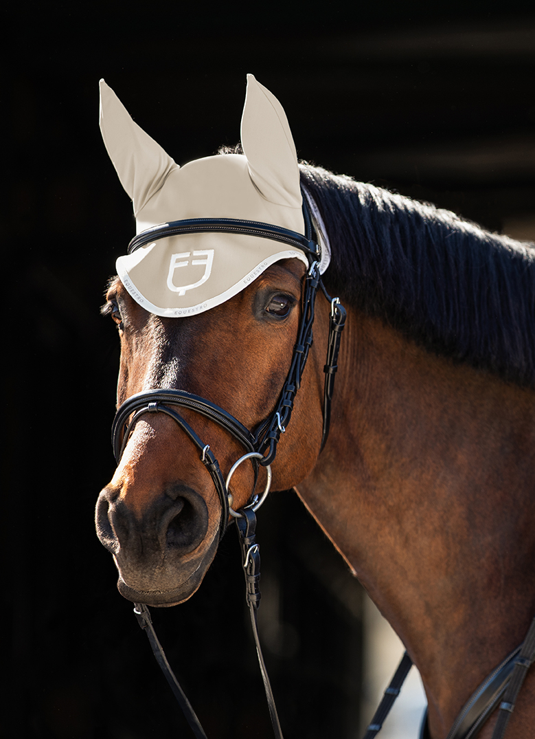 Equestro | shop online equitazione | Cavaliere e cavallo