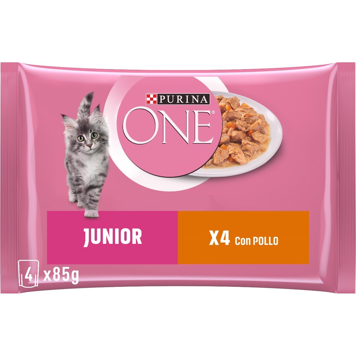 PURINA ONE JUNIOR Filettini in Salsa con Pollo e Carote | PURINA Shop