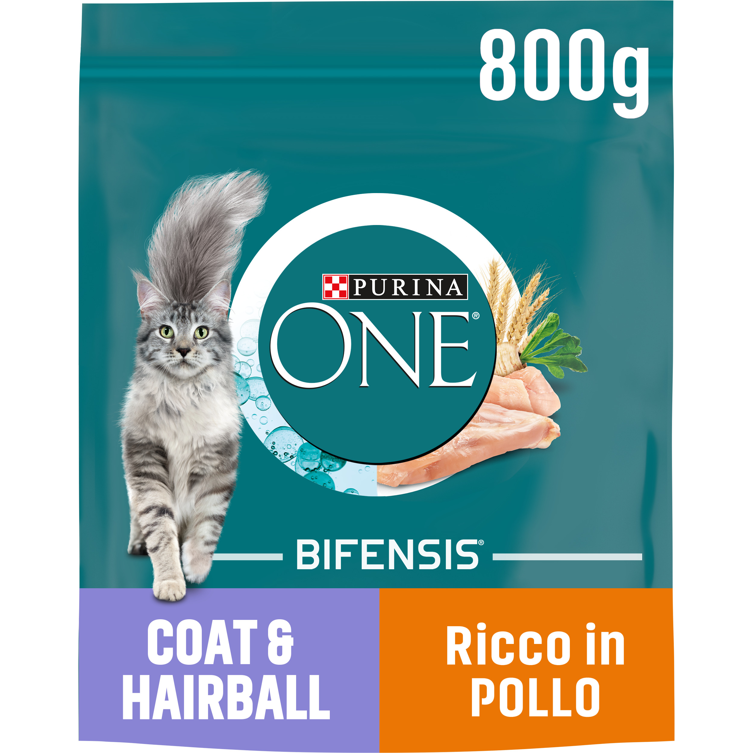 PURINA ONE BIFENSIS Crocchette per Pelle e Pelo al Pollo | PURINA Shop