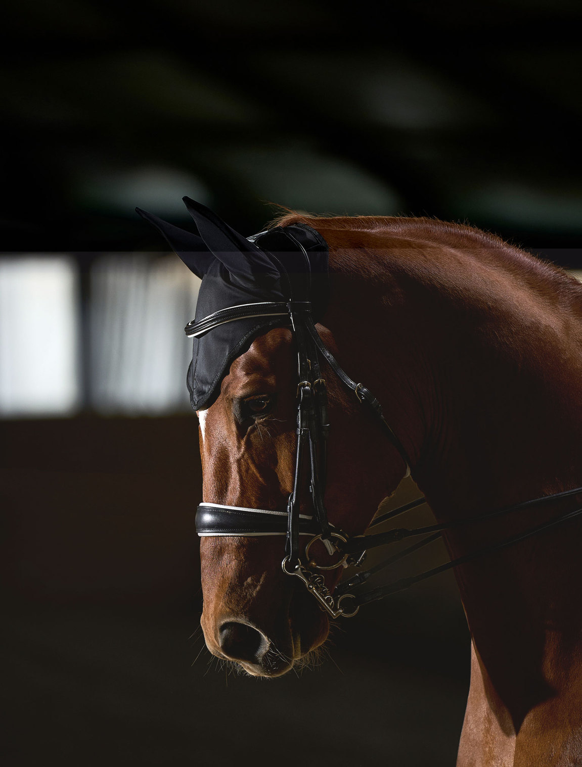 ACavallo | shop online equitazione | Cavaliere e cavallo